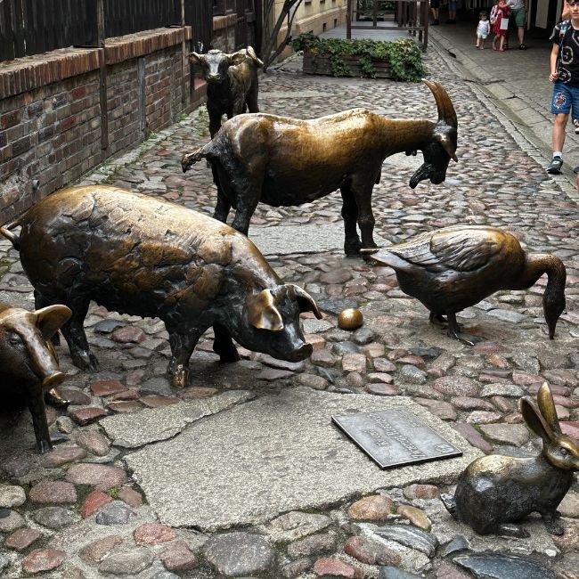 Things To Do in Wroclaw Poland - Undiscovered Uncrowded Gem!